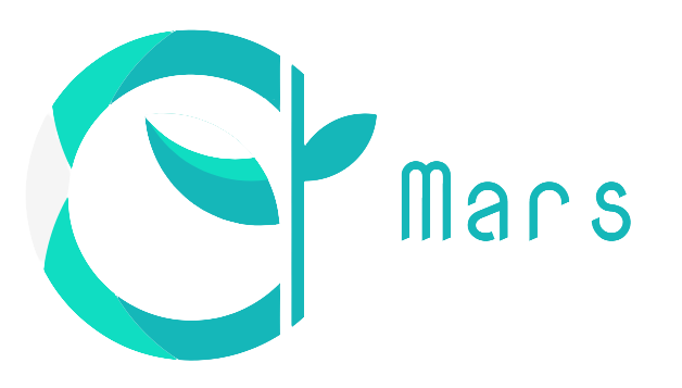 React App